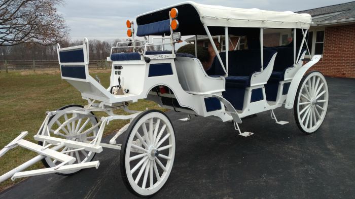 Carriage Driving Carriages for sale horse carriages, horse and buggy ...