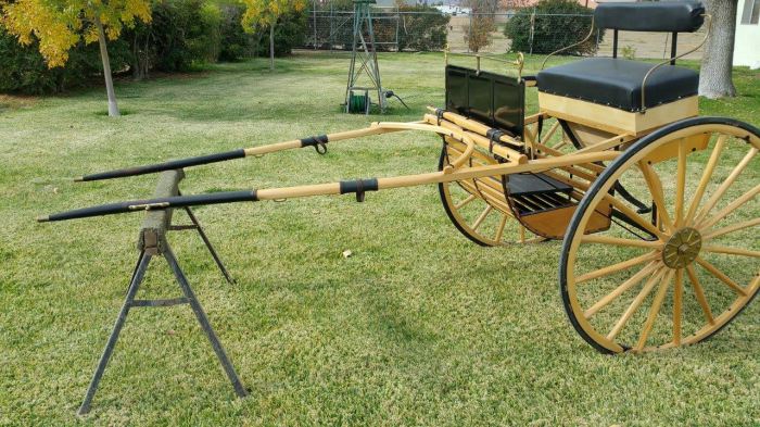 Two Wheel Gig Carriage Driving Carriages for sale horse carriages ...