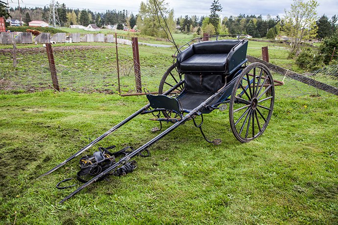 Carriage Driving, Carriages for sale, horse carriages, horse and buggy ...