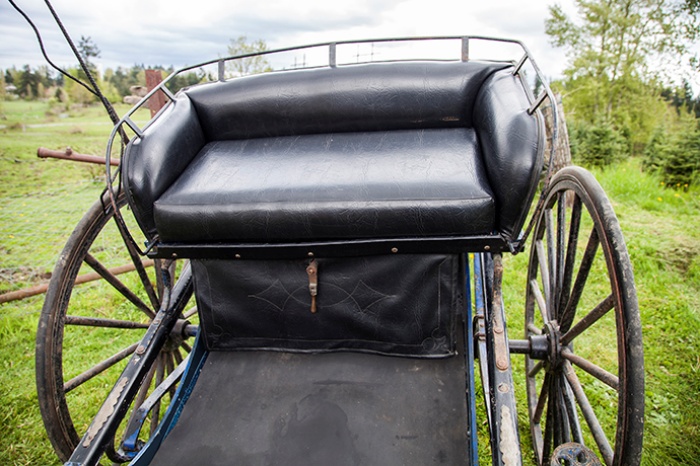 Carriage Driving Carriages for sale horse carriages, horse and buggy ...