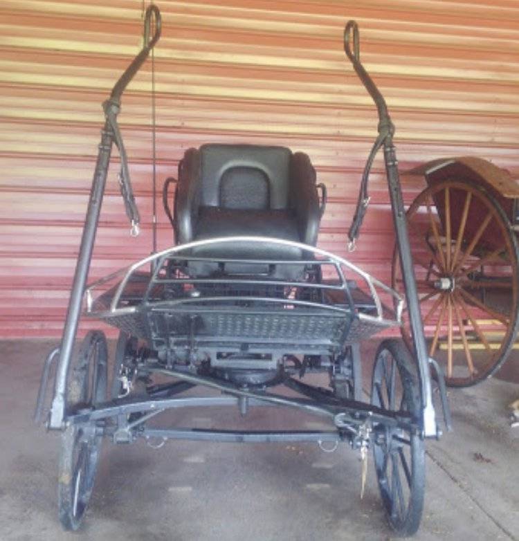 Kutzmann Fox Sport 11 Marathon Carriage Carriage Driving Carriages for ...