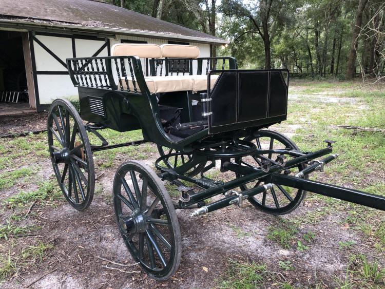 Bird-in-Hand 4-Wheel Carriage Carriage Driving Carriages for sale horse ...