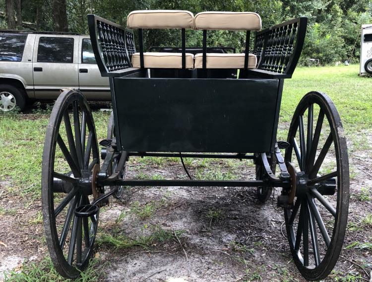 Bird-in-Hand 4-Wheel Carriage Carriage Driving Carriages for sale horse ...