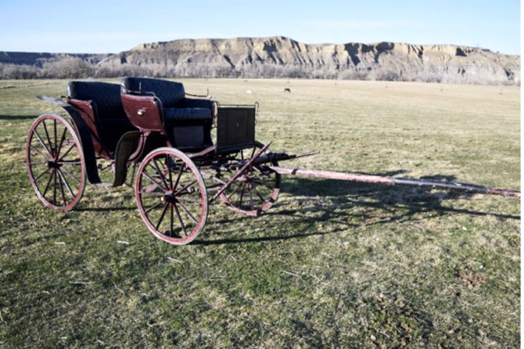 Carriage Driving, Carriages for sale, horse carriages, horse and buggy ...