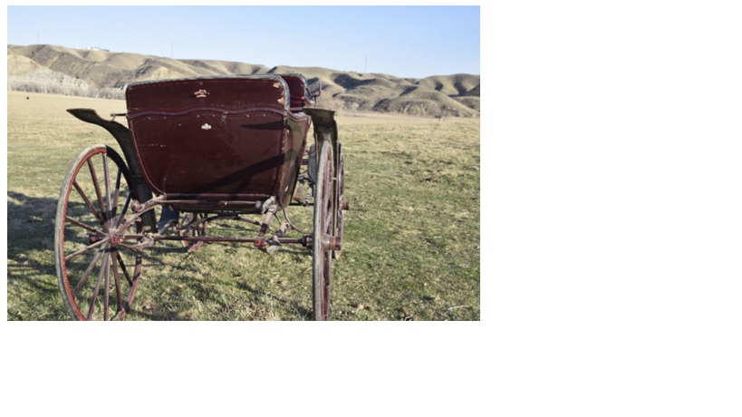 Cut Under Surrey Circa 1885 Carriage Driving Carriages for sale horse ...