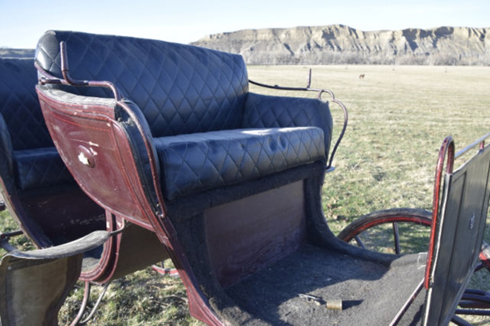 Cut Under Surrey Circa 1885 Carriage Driving Carriages for sale horse ...
