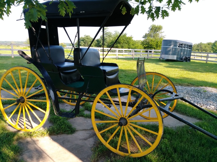 Carriage Driving, Carriages for sale, horse carriages, horse and buggy ...