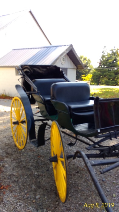 4 Seat Pleasure Carriage Carriage Driving Carriages for sale horse ...
