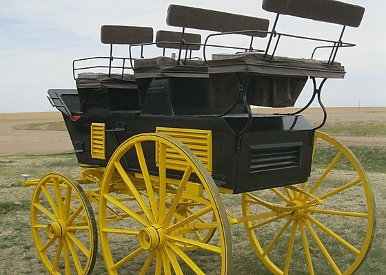 New Brewster Root Seat Brake Reproduction Carriage Driving Carriages ...