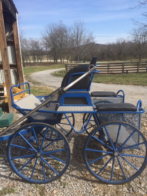 Carriage Driving, Carriages for sale, horse carriages, horse and buggy ...