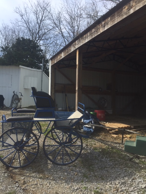 UNRAU MARATHON CARRIAGE Carriage Driving Carriages for sale horse ...