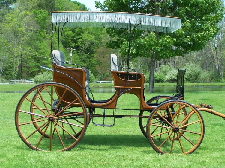 horse carriage driving carriages buggy wedding carriage rental service ...