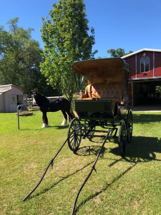 Hurry, Convertible Carriage $2,400.00 Over 5K new! Carriage Driving ...