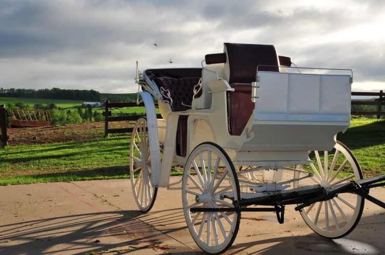 Carriage Driving, Carriages for sale, horse carriages, horse and buggy ...