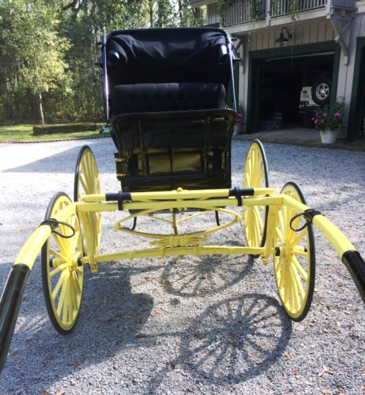 Late 1800 professionally restored lady’s phaeton Carriage Driving ...