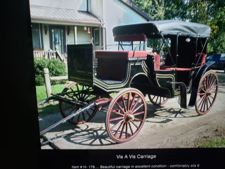 Carriage Driving, Carriages for sale, horse carriages, horse and buggy ...