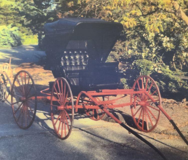 Carriage Driving, Carriages for sale, horse carriages, horse and buggy ...