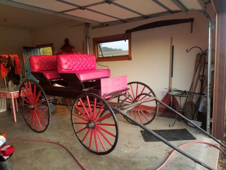 horse carriage driving carriages buggy wedding carriage rental service ...